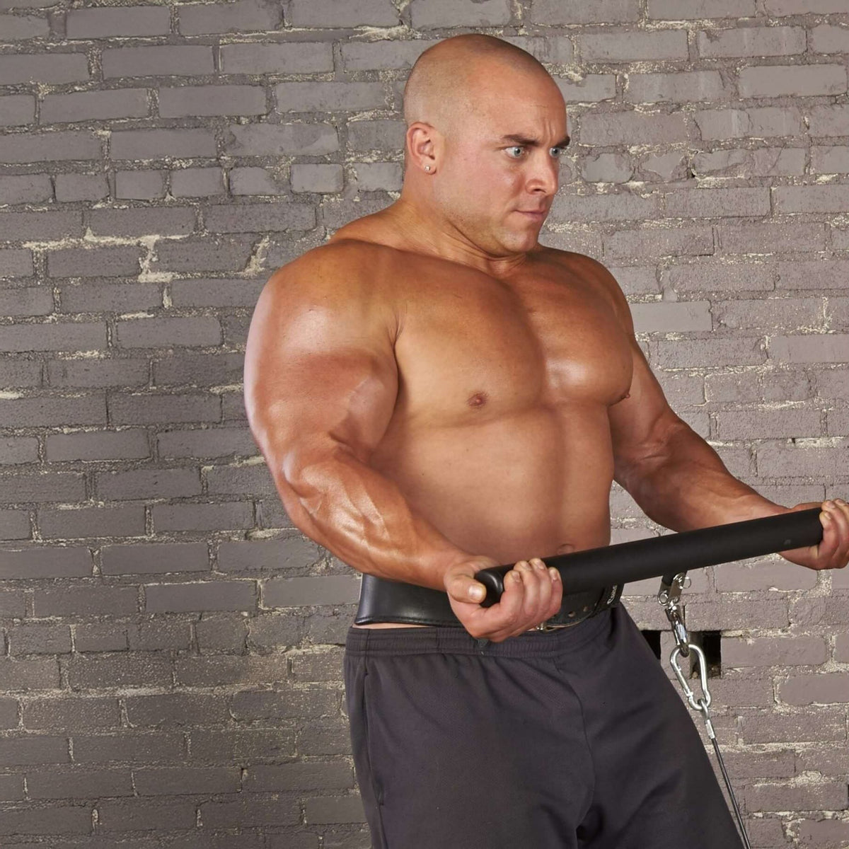 Arm Curl Bar – Lpgmuscle