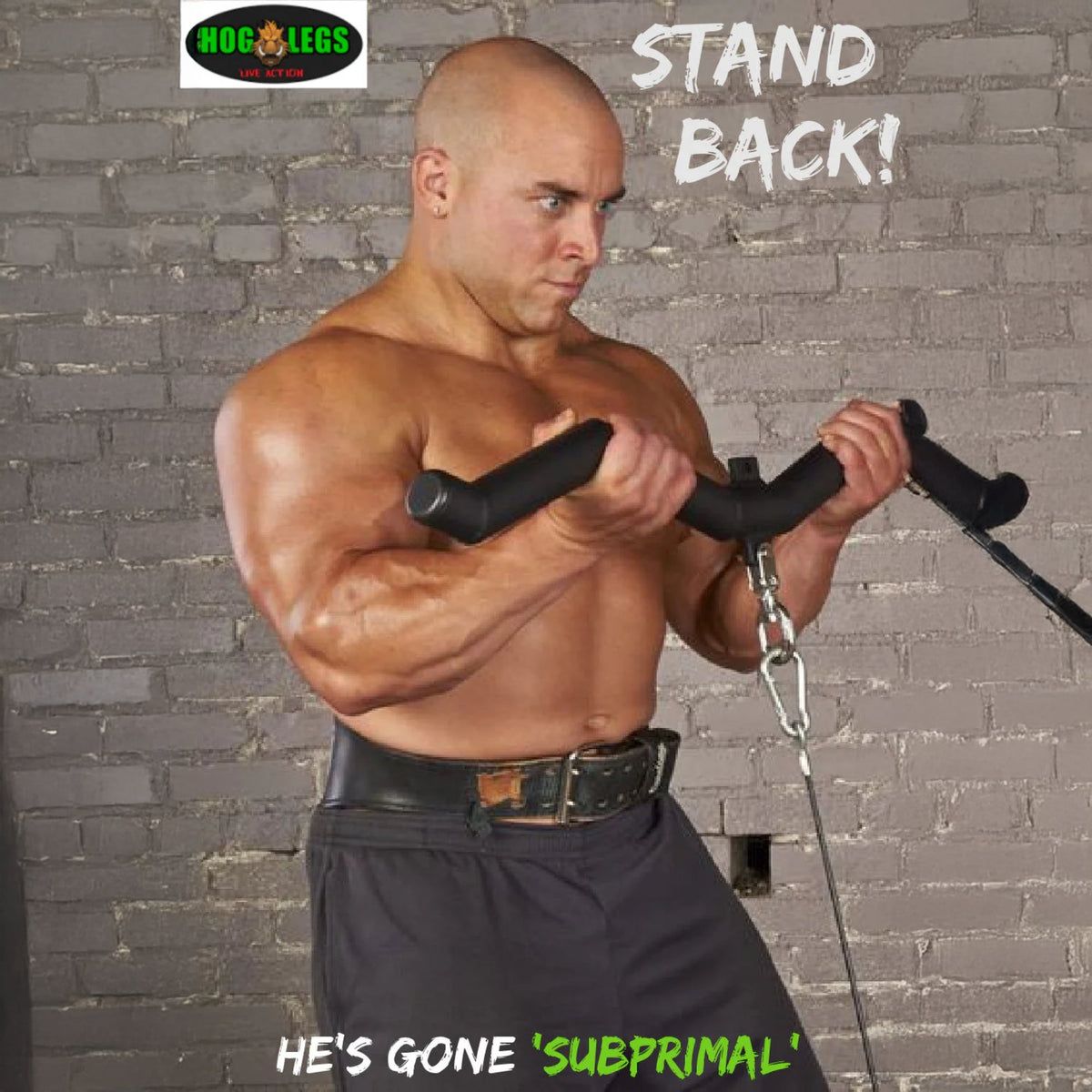 Subprimal EASY CURL BARS – Lpgmuscle