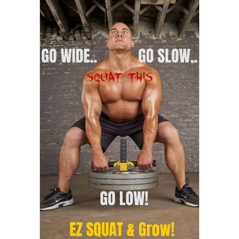 EZ SQUAT Plate Handles System Squat Machine Squat Attachment – Lpgmuscle